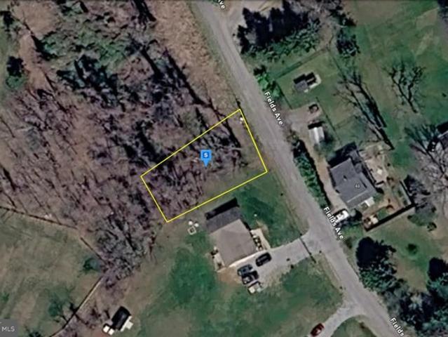 55 Fields Ave, Blue Ridge, VA 24064