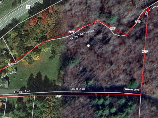 55 Flower Ave, Bethel, NY 12720 | MLS #905632