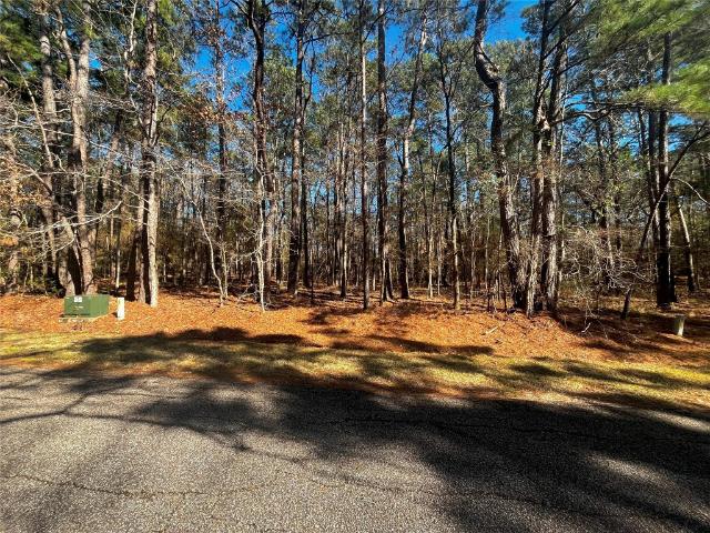 55 Green Tree Dr, Coldspring, TX 77331 | MLS #50179