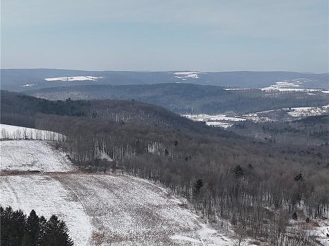55 Kimble Rd, Beaver Dams, NY 14812