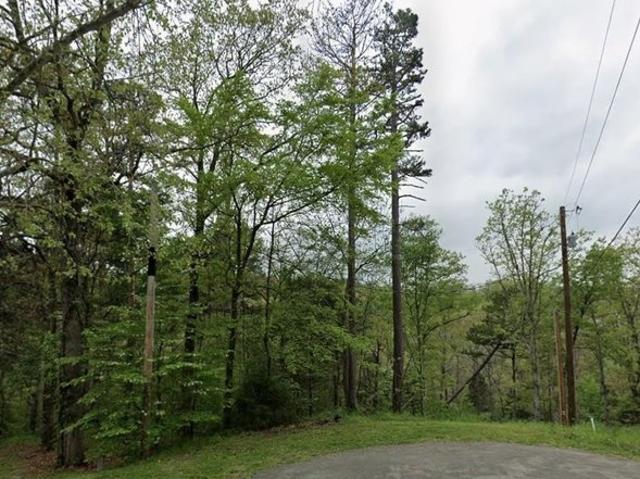 55 Little Dr, Bella Vista, AR 72715