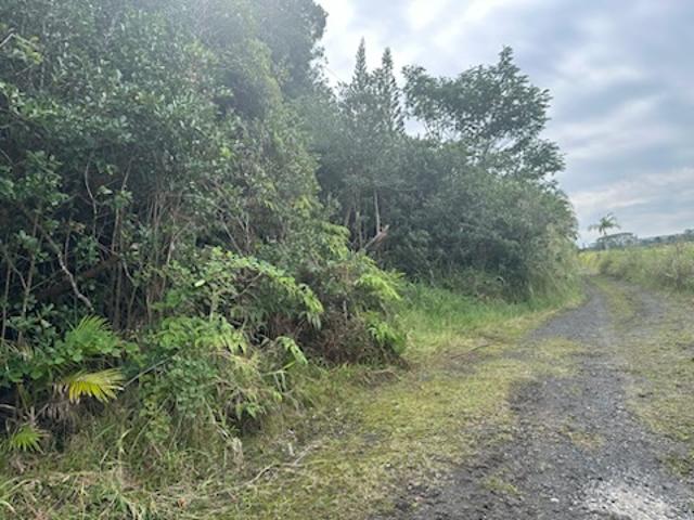 55 Lot, Mountain View, HI 96771 | MLS #726699