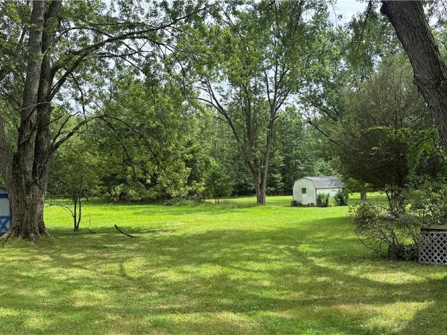 55 Maca Drive
