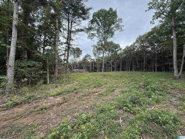 55 Mountain Brow Dr Lot 1, Oneonta, AL 35121