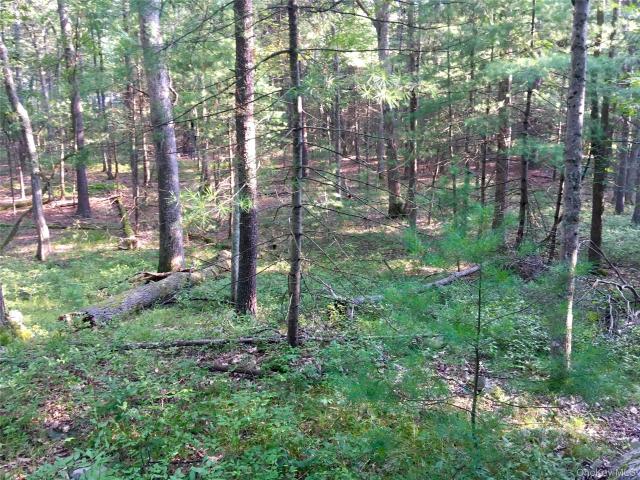 55 Old Plank Road