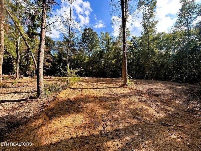 55 Pleasant Hill Rd, Ten Mile, TN 37880
