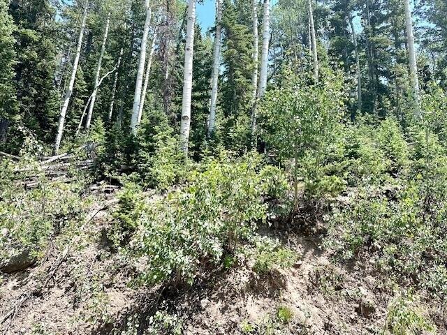 55 S Snow Shoe Blk B Lot 1, Brian Head, UT 84719