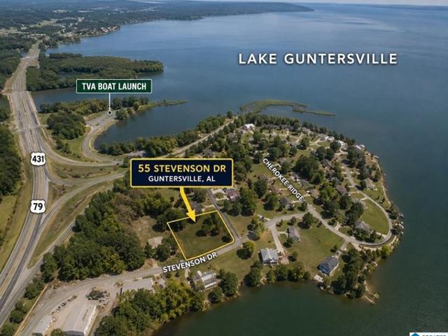55 Stevenson Dr, Guntersville, AL 35976