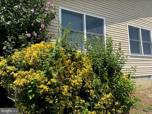 55 Sycamore Road