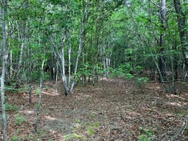 55acs E Nottoway DR