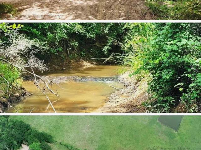 5604 County Road 364 10 acres