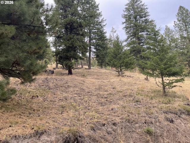 56021 hanna arbuckle rd