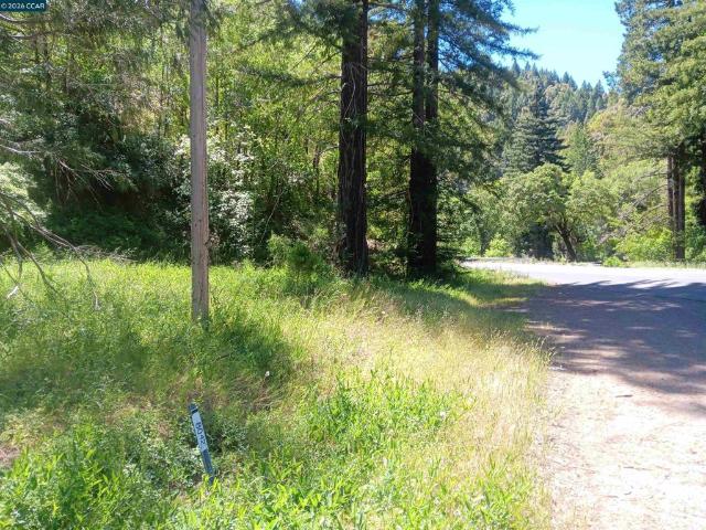 56025 n highway 101