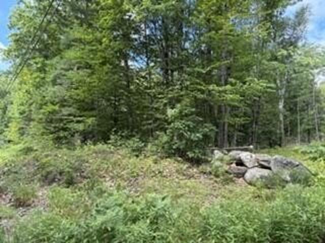 560 Old Greene Rd, Lewiston, ME 04240
