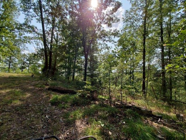 5614 Ashland City Hwy, Nashville, TN 37218