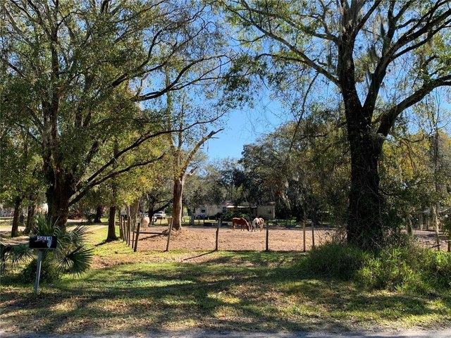 5614 Watson Rd, Riverview, FL 33578