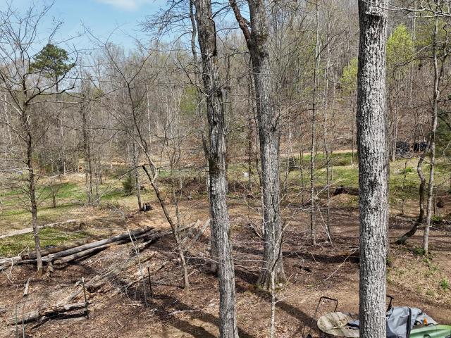 561 Geren Subd Lane