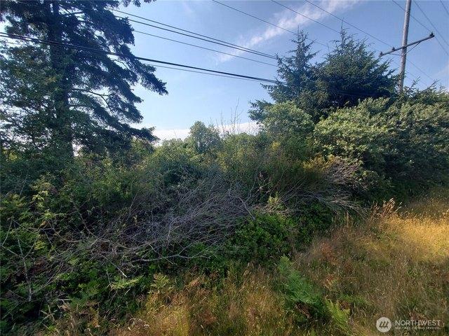 561 Dolphin Ave NE Lot 277, Ocean Shores, WA 98569