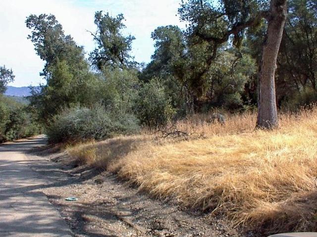 562 Daffodil Ln, Yokuts Valley, CA 93675