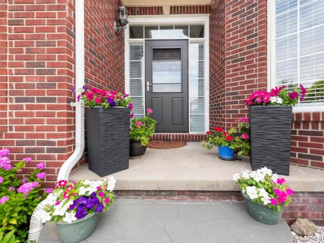 56334 Birkdale Drive