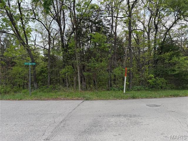 5649 Lake Hill Dr, Hillsboro, MO 63050 | MLS #26005 | Compass