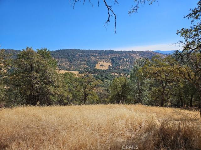 5640 Blue Oak Ridge Road