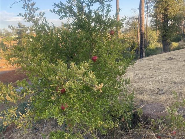 5640 Gramercy Pl, Paradise, CA 95969 | MLS #SN26080