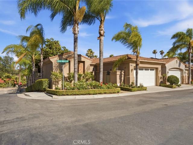 5640 Queen Palms