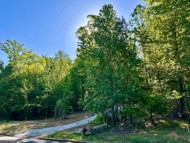 564 Bear Creek Lane