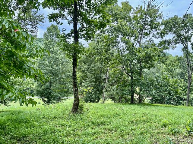 564 Dry Branch Road