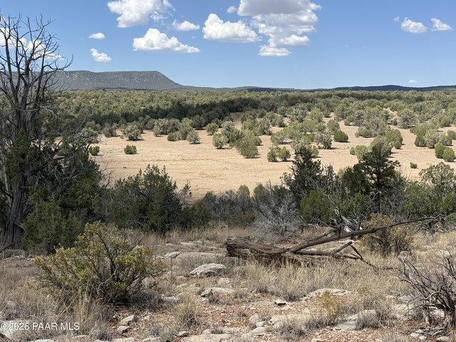 56568 N Avenida Derecha Rd, Seligman, AZ 86337
