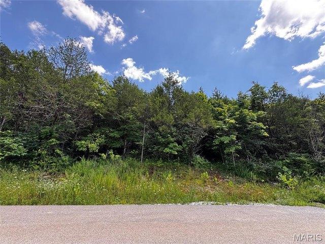 5656 Eagles Vly W, House Springs, MO 63051
