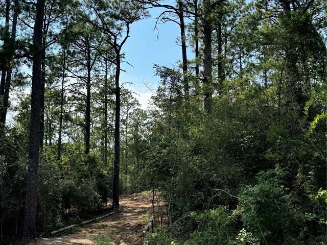 565 Sparkleberry Dr, Brookeland, TX 75931 | MLS #98810 | Compass