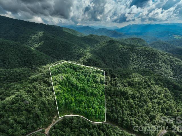 565 Pine Cone Trail