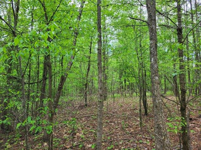 565 Valley Loop, Pikeville, TN 37367