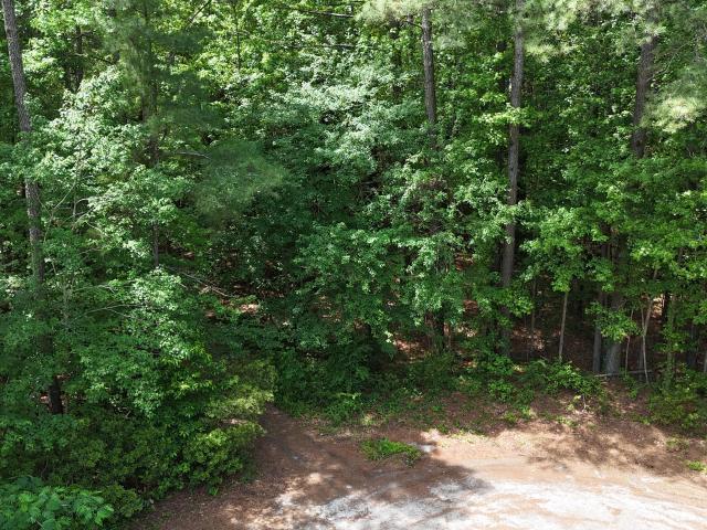 5662 Gail Drive # 7