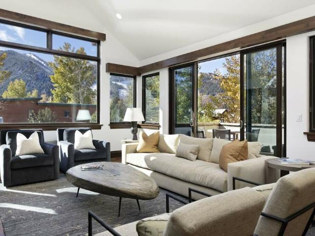 566 Race Street, Aspen, CO