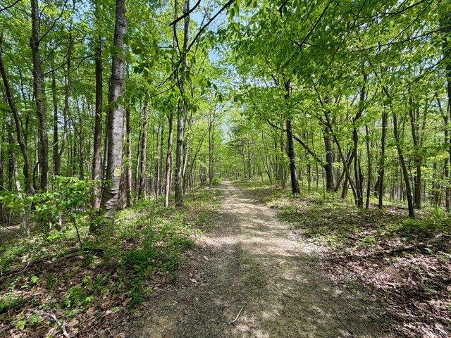 566A Tunnel Ridge Rd, Argillite, KY 41121