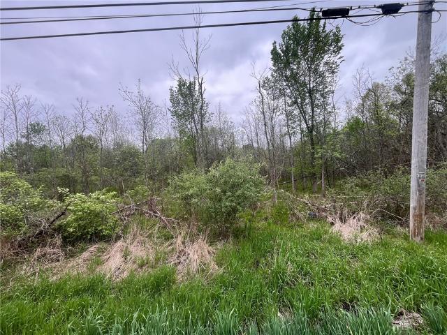 5670 Thompson Road