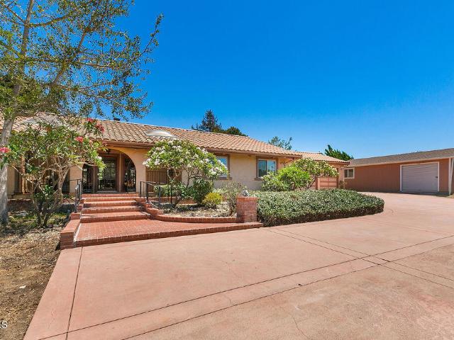 567 Avocado Place
