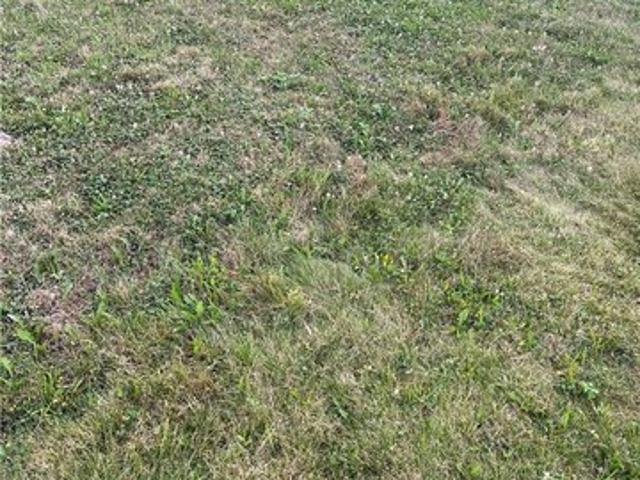 5684 West Crk, Trotwood, OH 45426