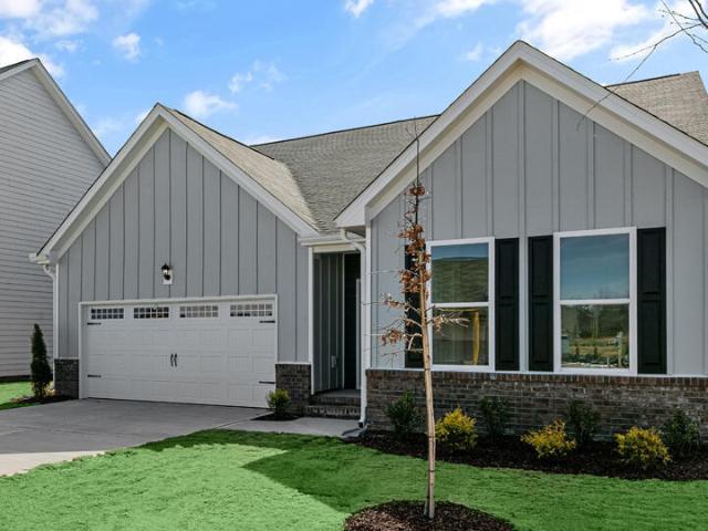 568 Lemon Daisy Lane