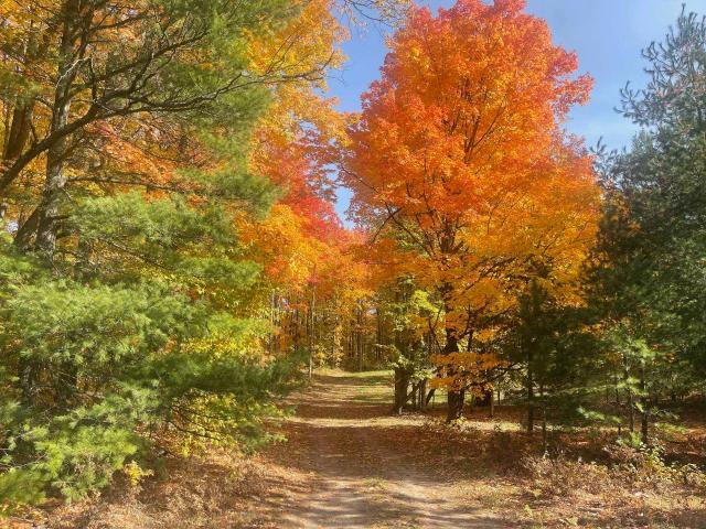 5698 SW Old Oak Trail # Lot 9