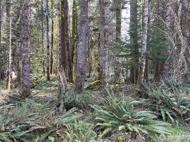 56919 th Avenue Ct E Lot 11, Ashford, WA 98304