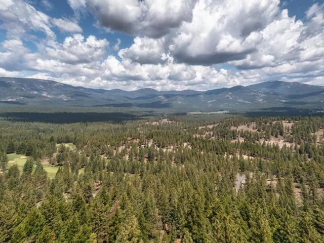 569 Canyon Rim Lot 322, Portola, CA 96103