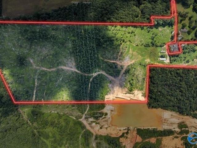 569 Bob Haas Rd, Hollywood, AL 35752