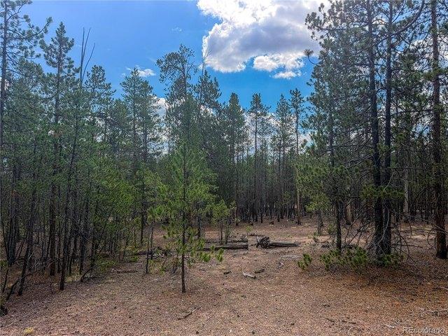 569 Birch Dr Lot 448, Leadville, CO 80461