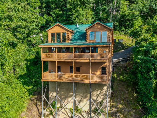 569 Forest Springs Drive