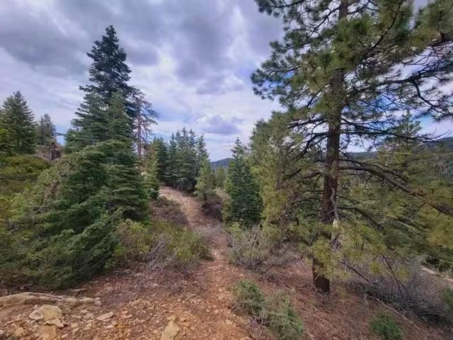 56&57&58 SKY HAVEN MTN RETREAT UN 2, DUCK CREEK, UT 84762 Vaca.