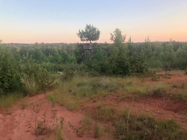 56.57 acres lake secession road